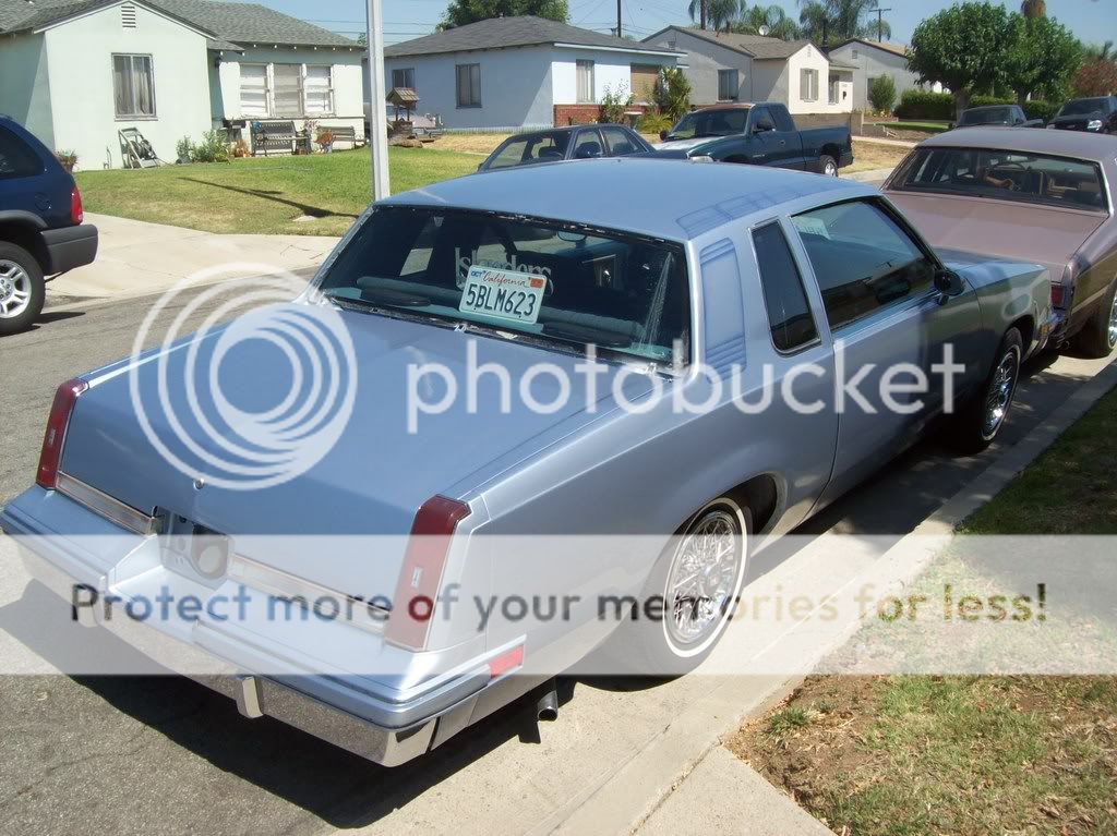 CUSTOM PAINTER | LayItLow.com Lowrider Forums