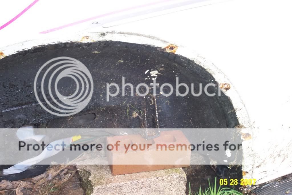 beetle body shell | Volkszone Forum
