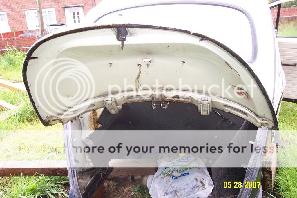 beetle body shell | Volkszone Forum