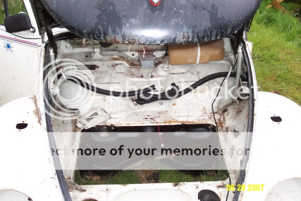 beetle body shell | Volkszone Forum