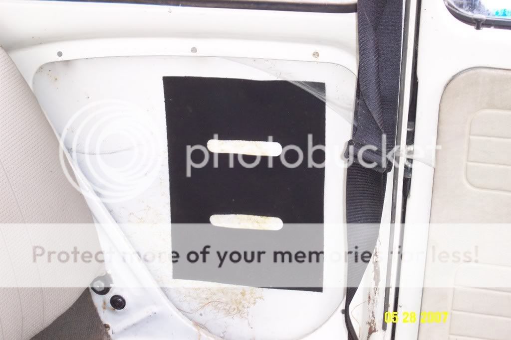 beetle body shell | Volkszone Forum