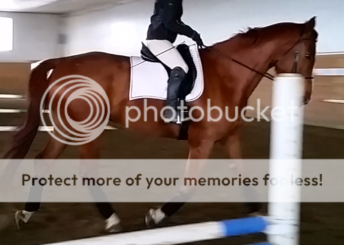 Saddle fit or weak position? | The Horse Forum