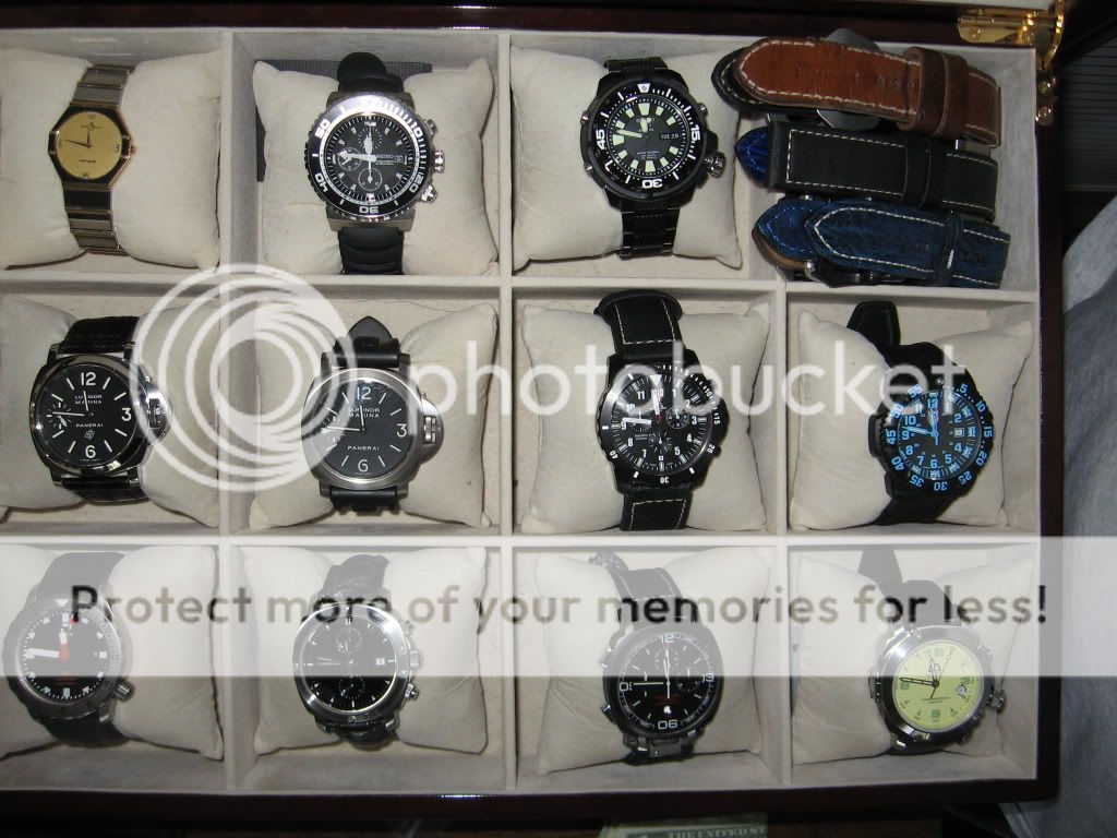 Watch Collection | WatchUSeek Watch Forums