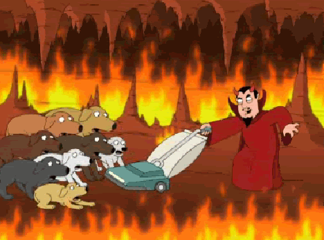 Do dog fights mean aggressive dog? | Puppy Forum and Dog Forums